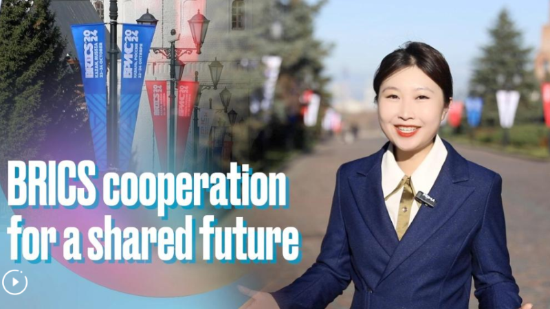 Xinhua Headlines: "Greater BRICS cooperation" contributes vitality ...